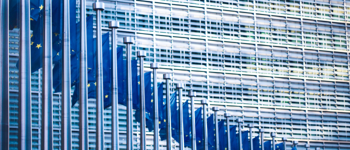 FSR Implementing Regulation – A Real Relief for Companies? | Gleiss Lutz